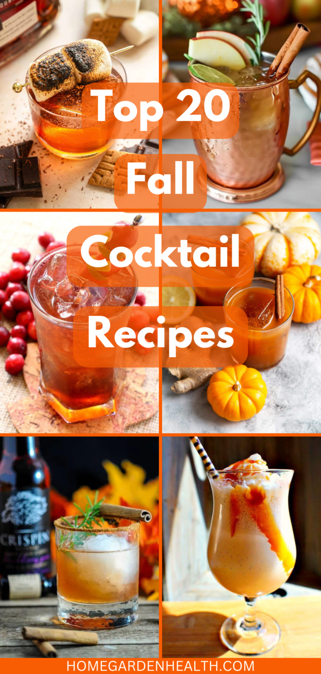 Top 20 Fall Cocktail Recipes for Autumn